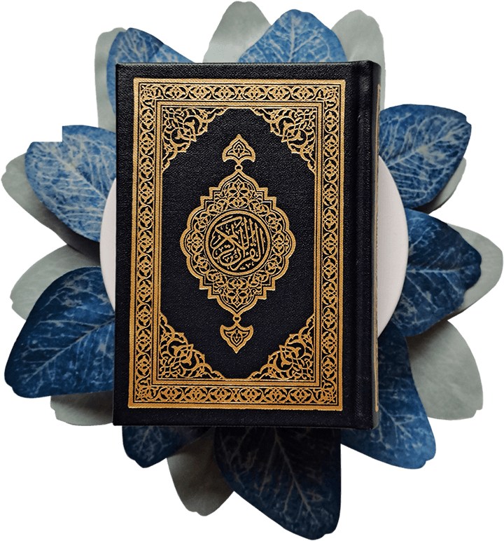 Al Quran Classes Offer to Learn Quran Online with Tajweed